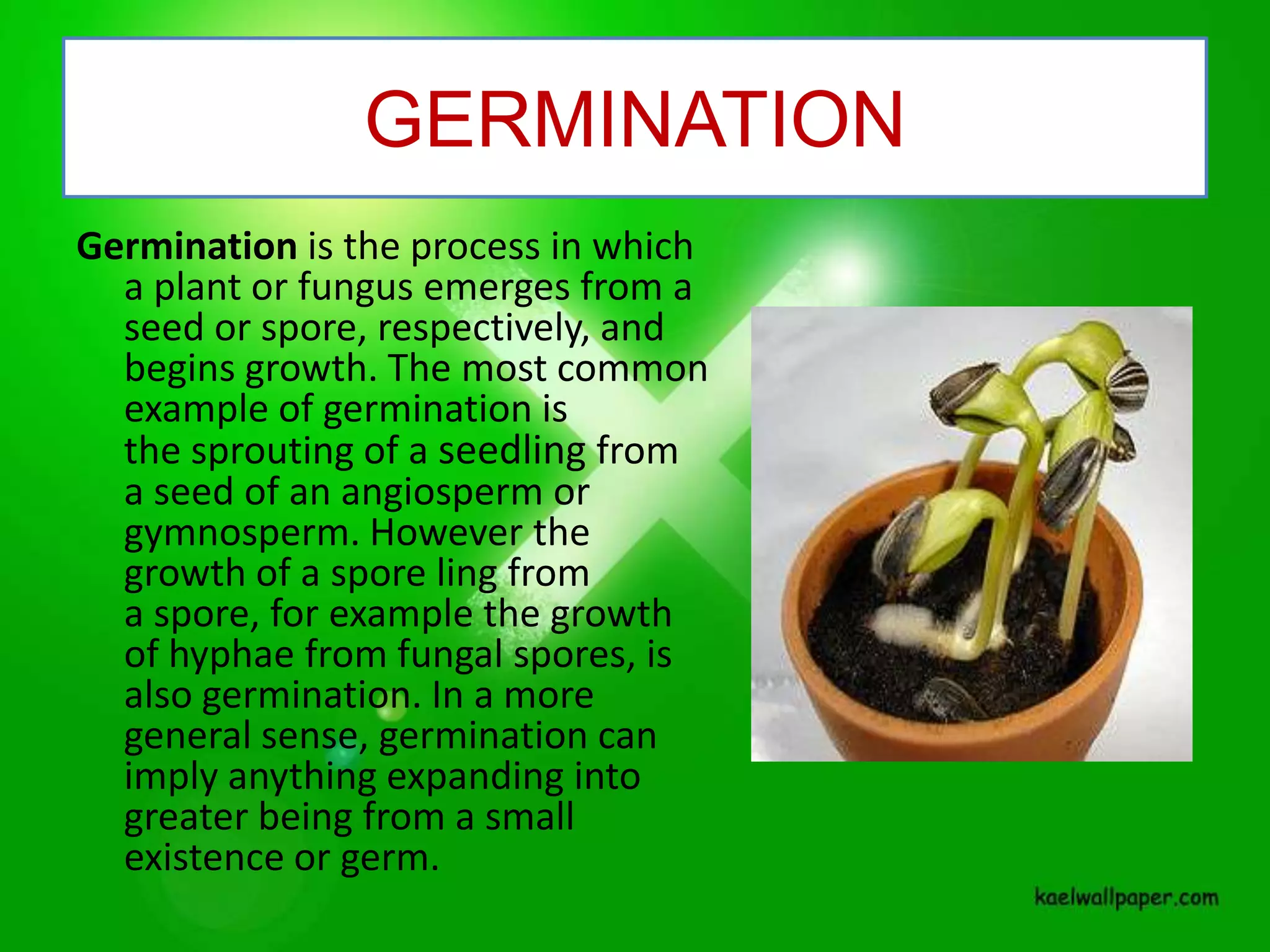 Sexual reproduction in plants | PPTX