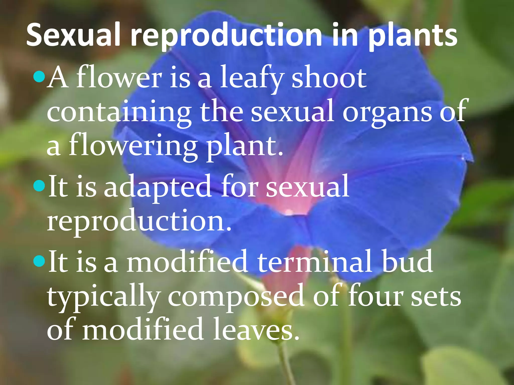 Sexual reproduction in plants | PPTX