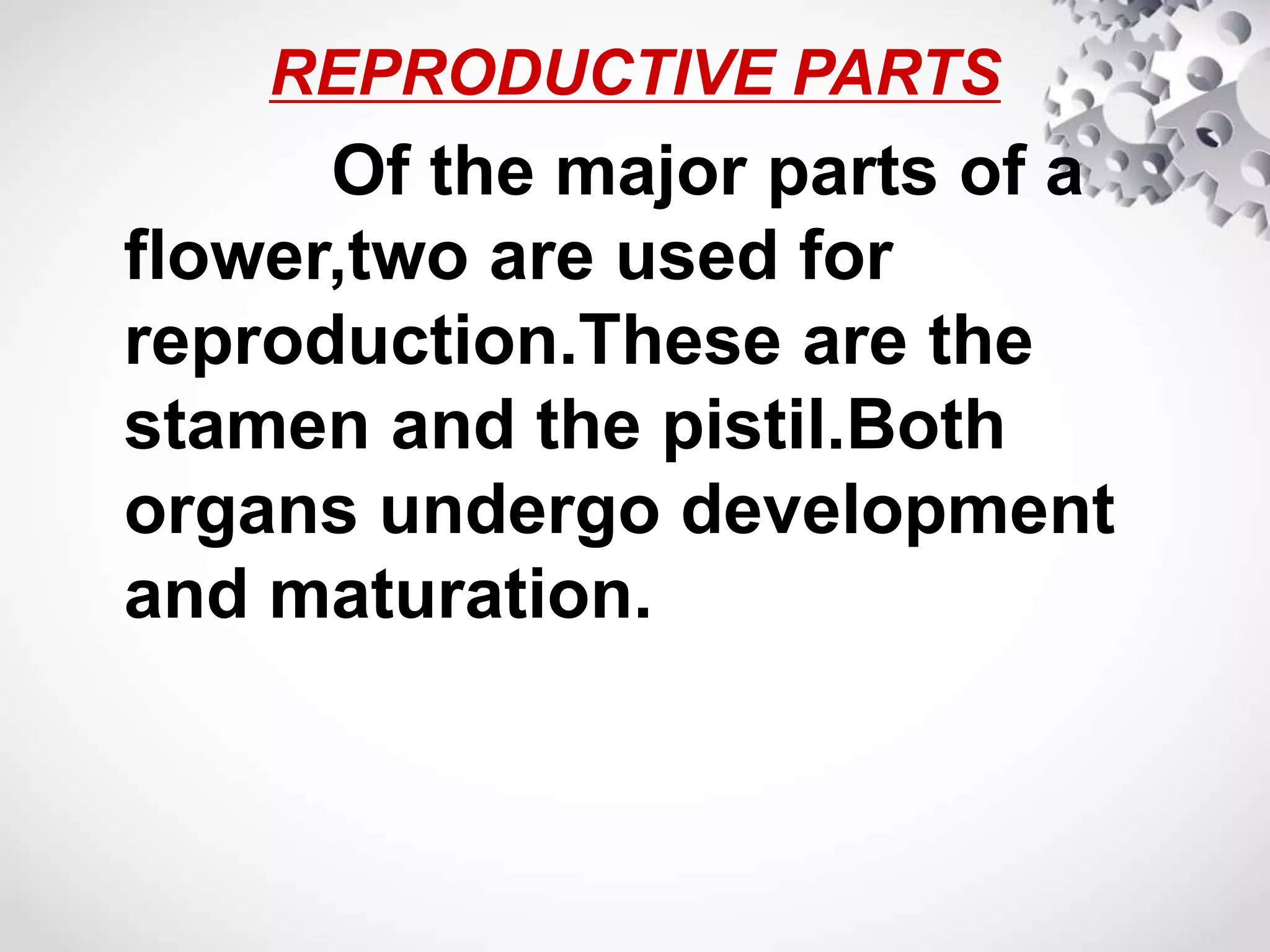 Sexual Reproduction in Plants | PPT