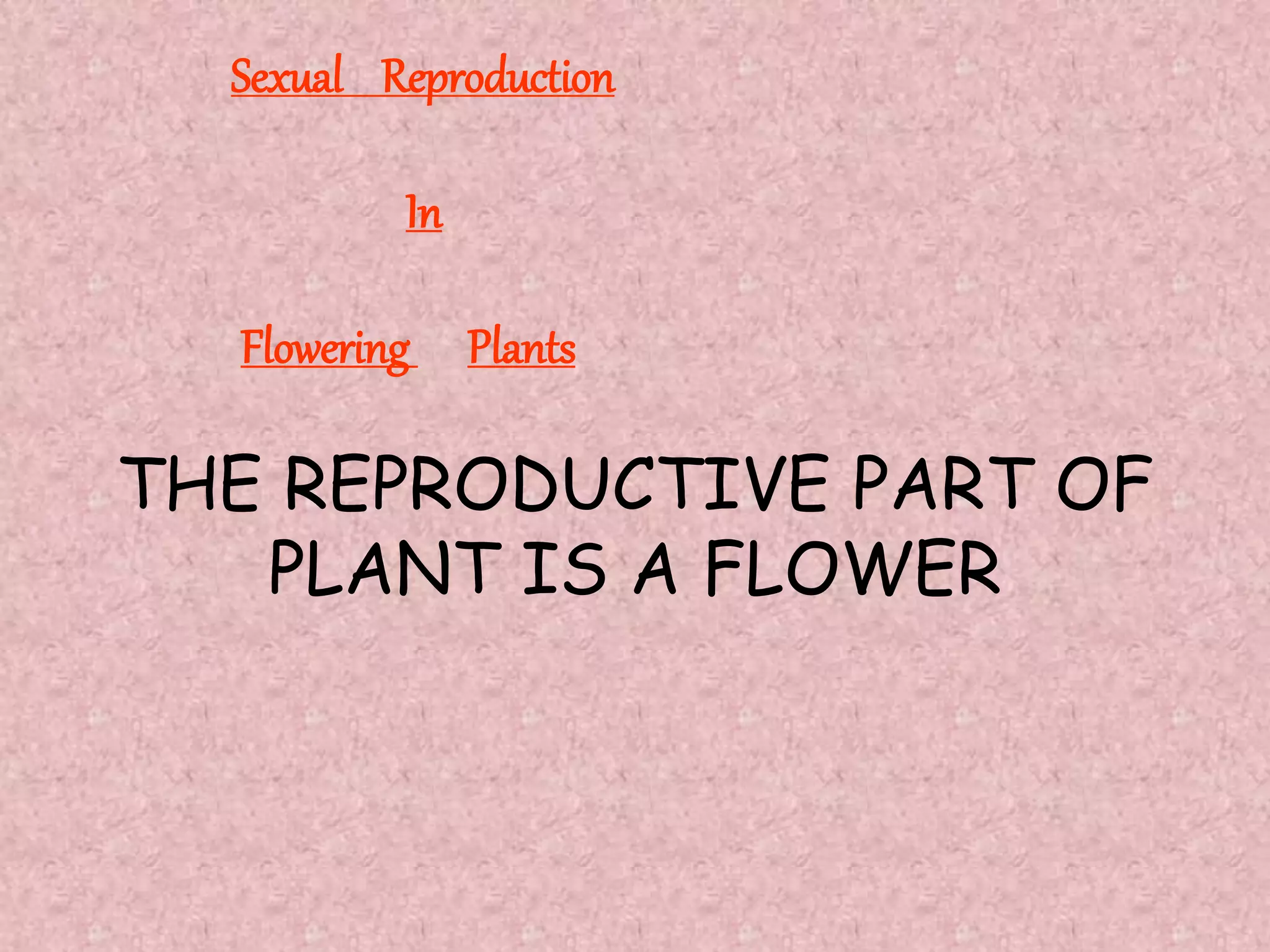 SEXUAL REPRODUCTION IN PLANTS.ppt | Infertility | Reproductive Health