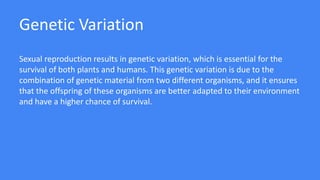 Sexual Reproduction in Plants and Humans.pptx