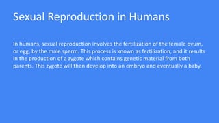 Sexual Reproduction in Plants and Humans.pptx