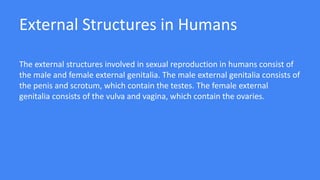 Sexual Reproduction in Plants and Humans.pptx
