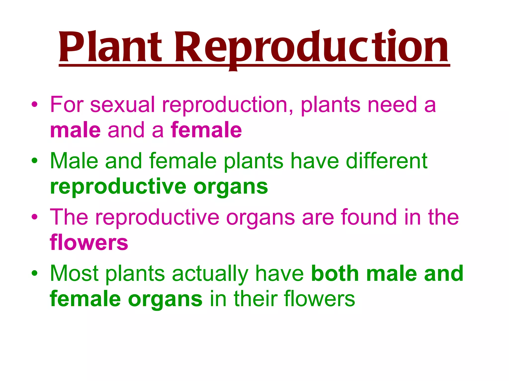 Sexual reproduction in_plants powerpoint | PPT