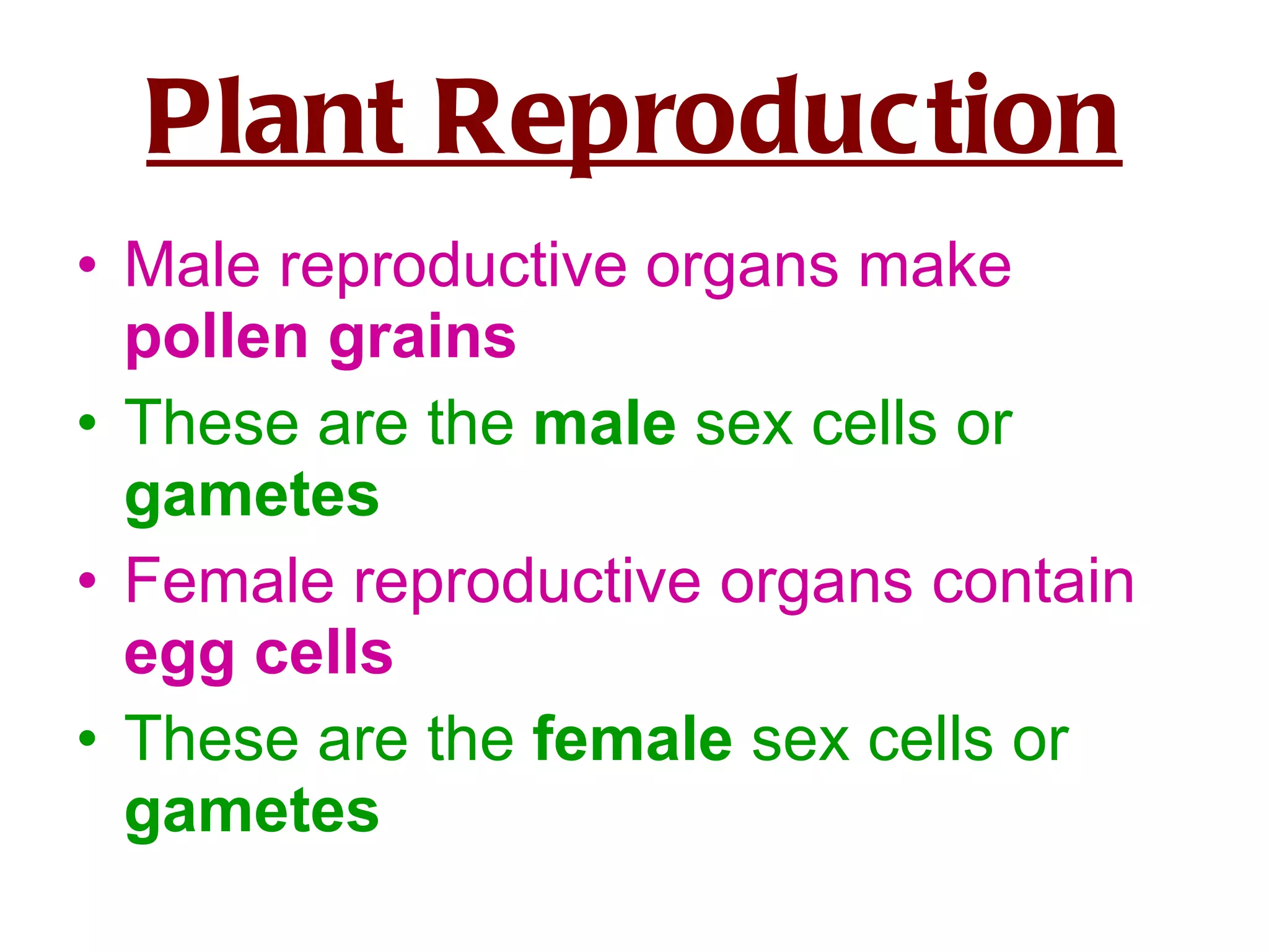 Sexual reproduction in_plants powerpoint | PPT