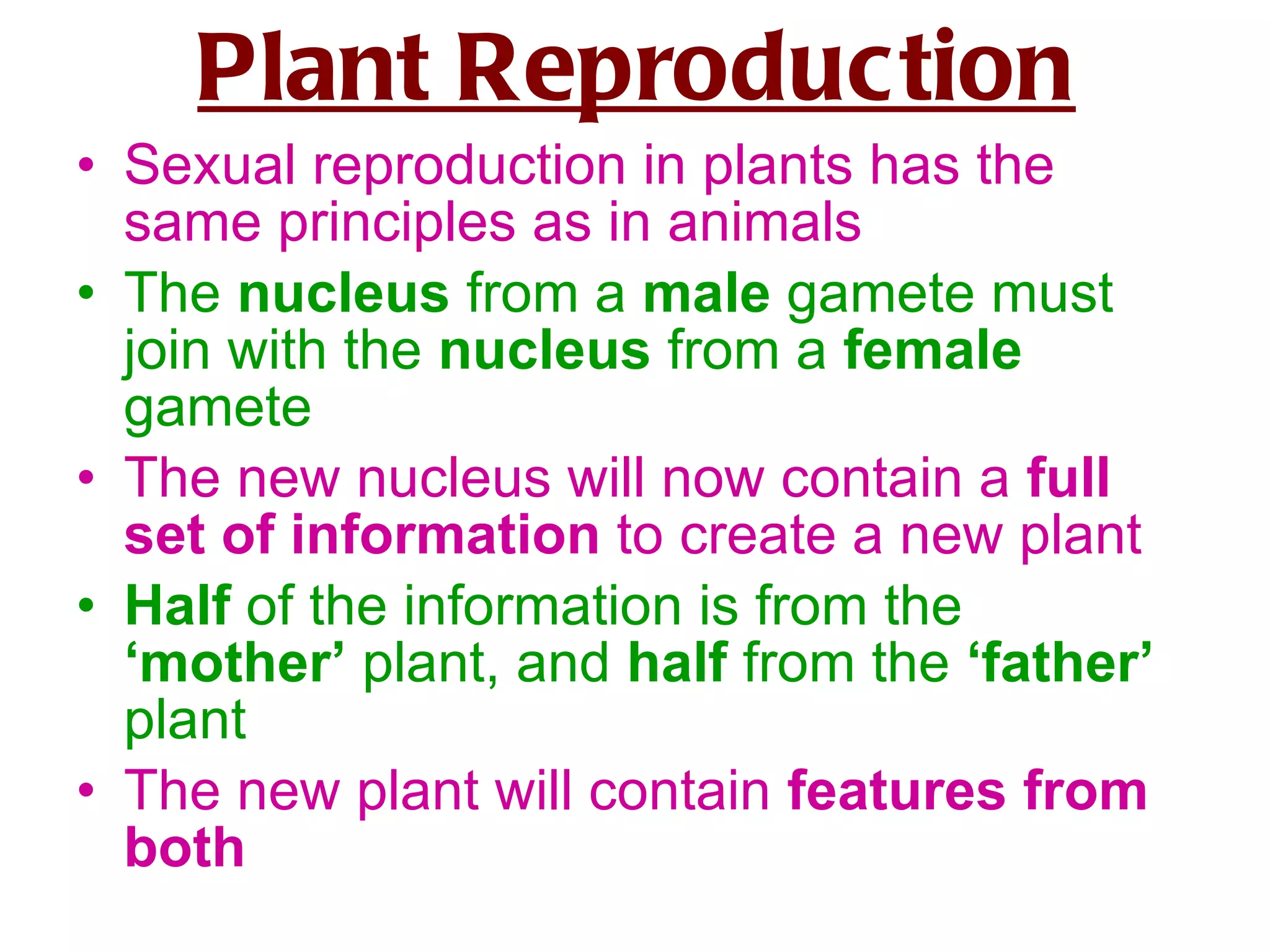 Sexual reproduction in_plants powerpoint | PPT