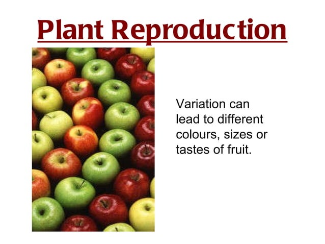 Sexual reproduction in_plants powerpoint | PPT