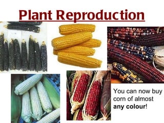 Sexual reproduction in_plants powerpoint | PPT