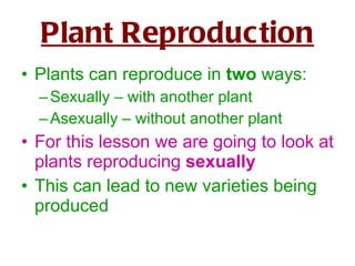 Sexual reproduction in_plants powerpoint | PPT