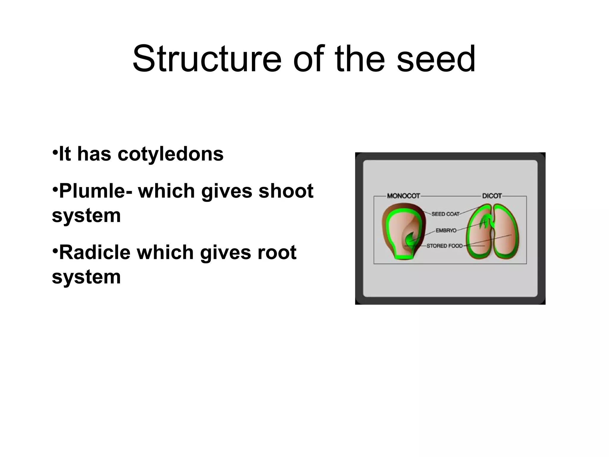Sexual reproduction in plants ppt | PPT