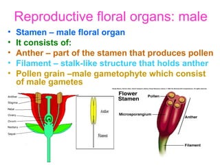 Sexual reproduction in plants ppt | PPT
