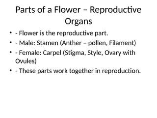 Sexual_Reproduction_in_Plants_Presentation.pptx