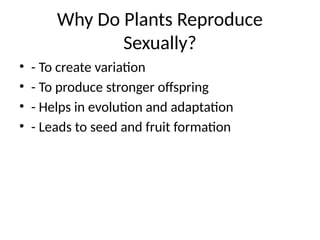 Sexual_Reproduction_in_Plants_With_Diagrams.pptx