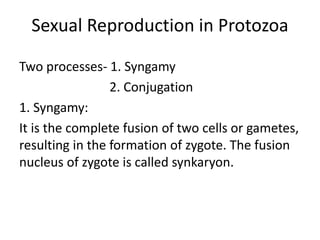 Sexual reproduction in protozoa | PDF