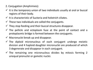 Sexual reproduction in protozoa | PDF