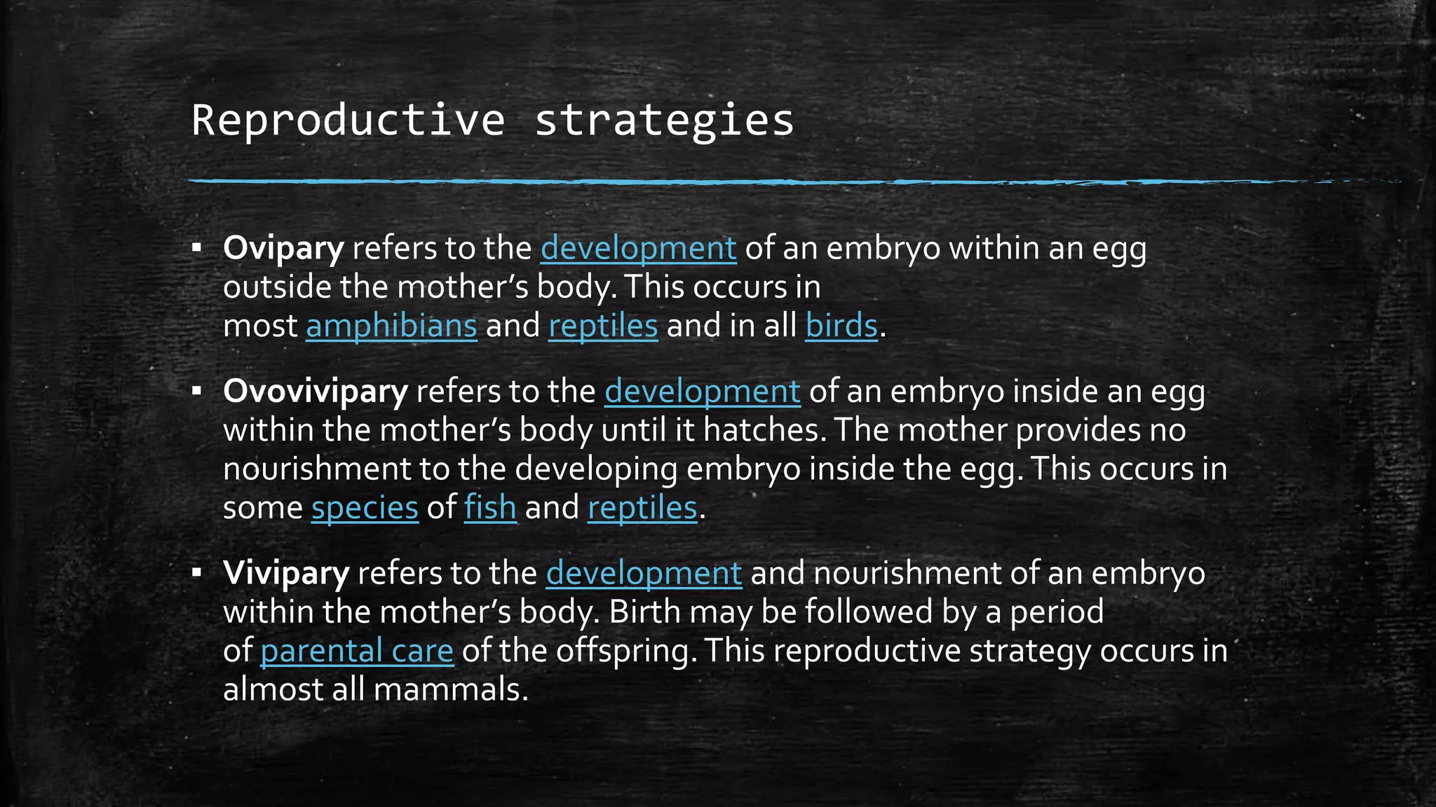 Sexual reproduction in vertebrates | PPTX