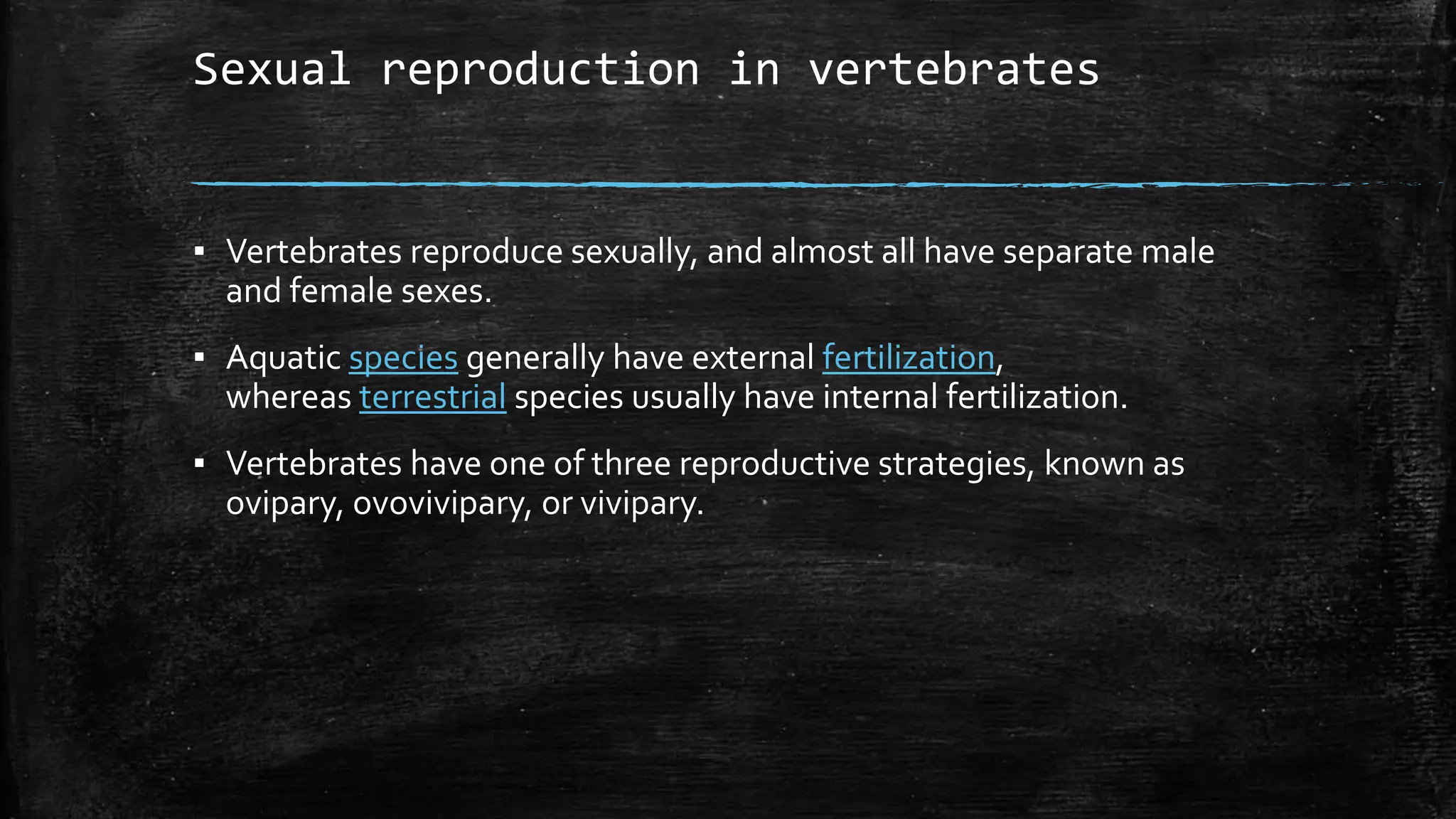 Sexual reproduction in vertebrates | PPTX