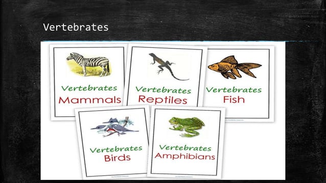 Sexual reproduction in vertebrates | PPTX