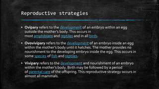 Sexual reproduction in vertebrates | PPTX