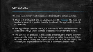 Sexual reproduction in vertebrates | PPTX