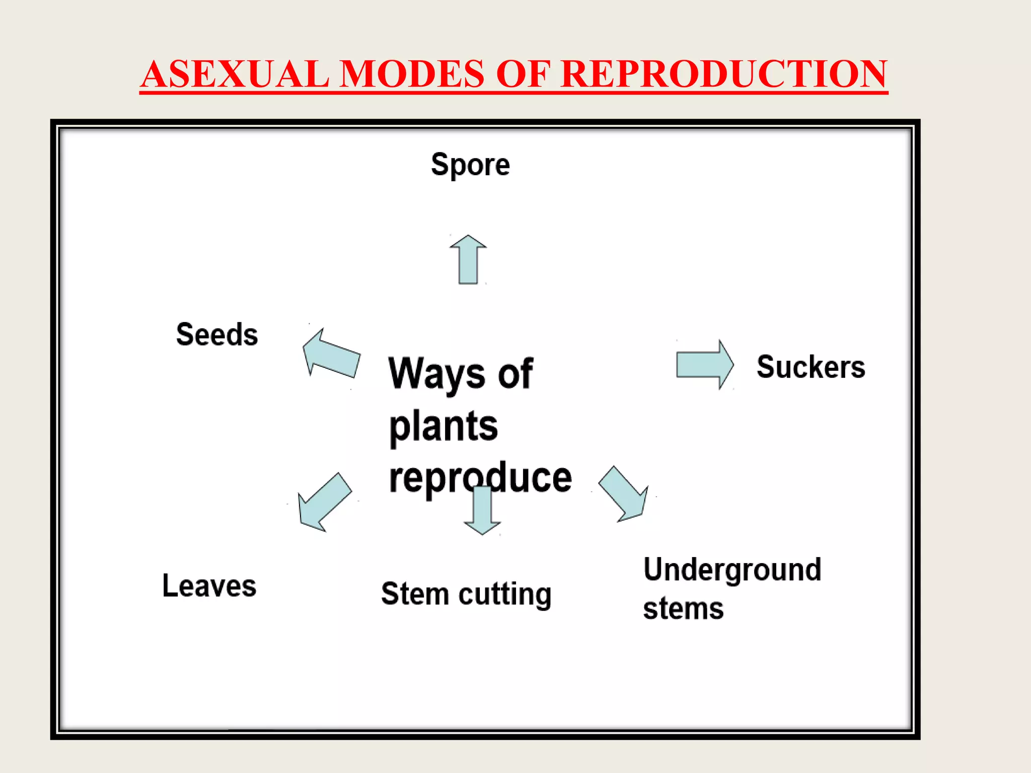 Sexual reproduction in flowering plants | PPTX