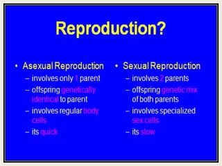 Sexual reproduction in flowering plants | PPTX