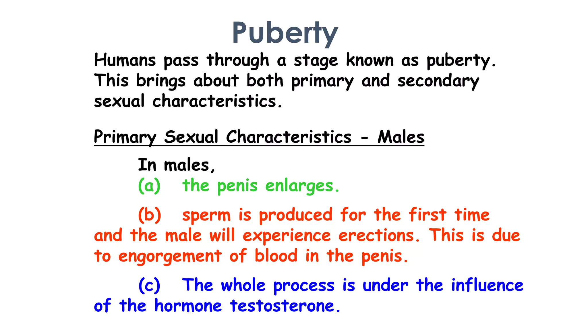 Human Sexual Reproduction - Males | PPTX