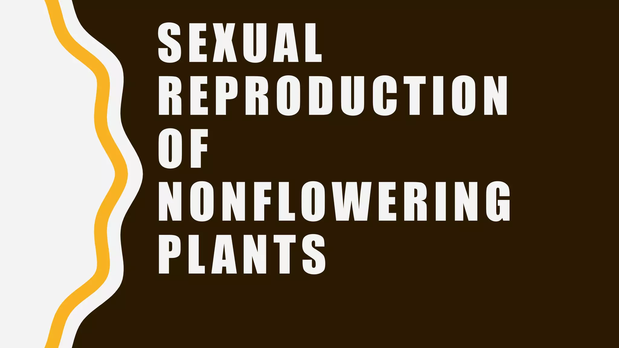 Sexual Reproduction Of Plants Pptx