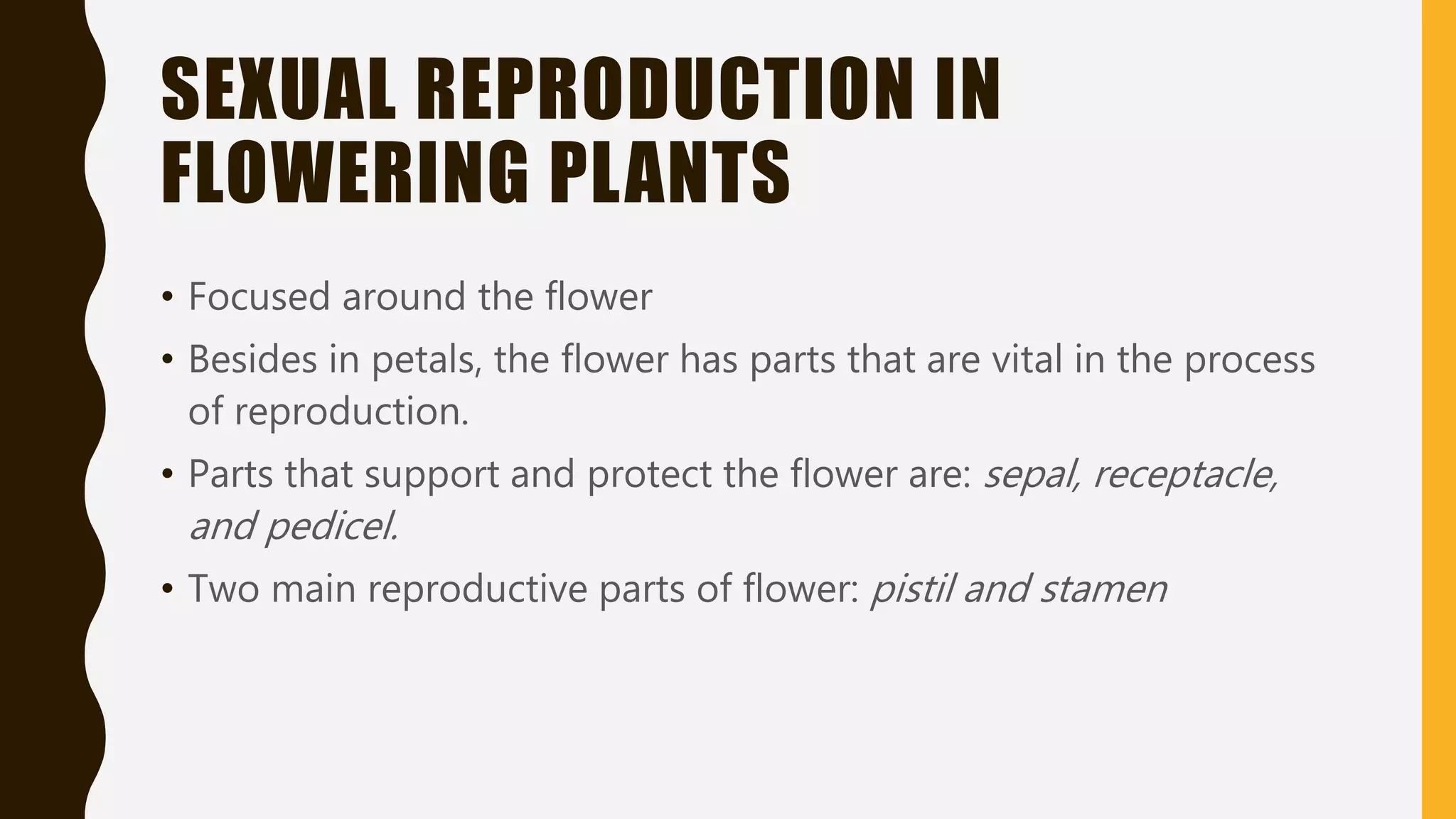 Sexual reproduction of plants | PPTX
