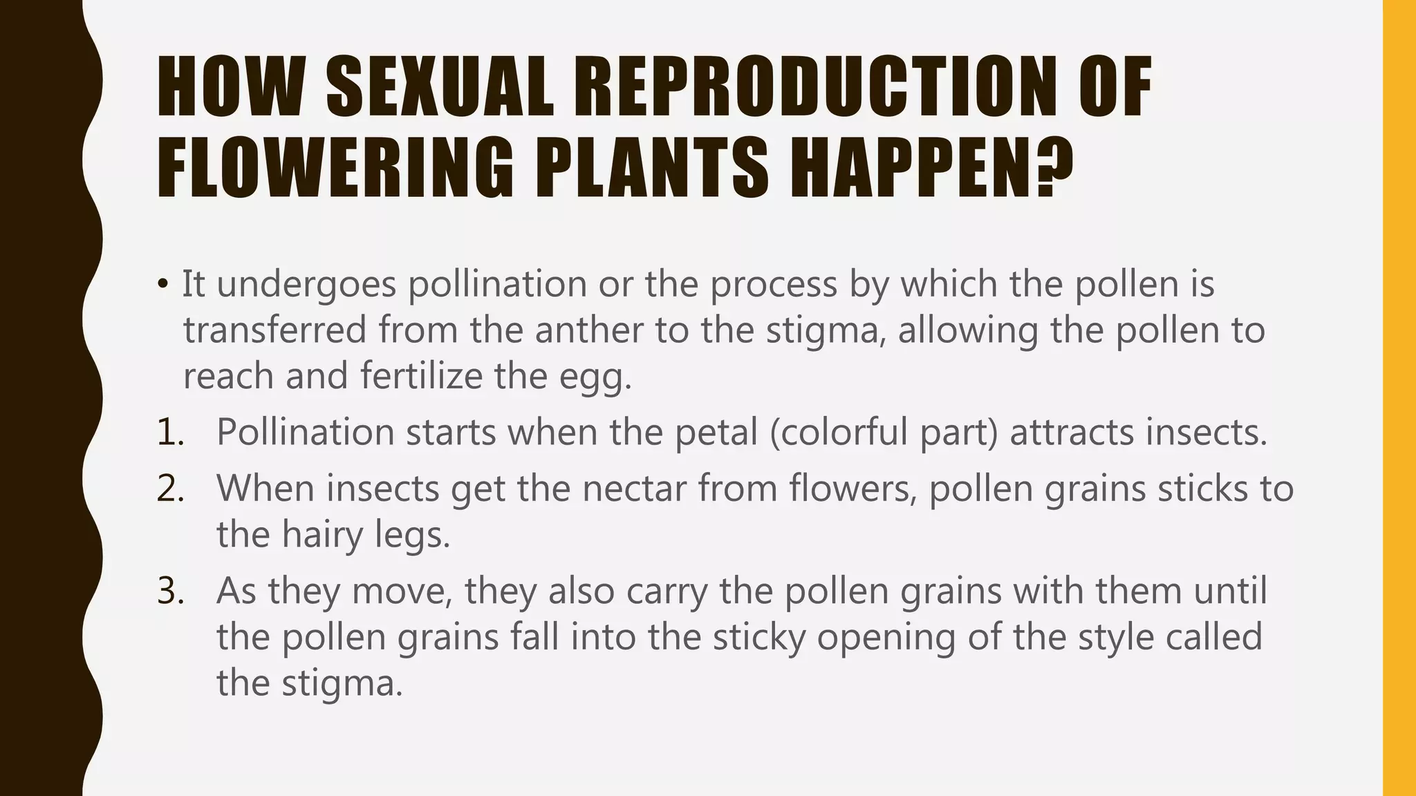 Sexual reproduction of plants | PPTX