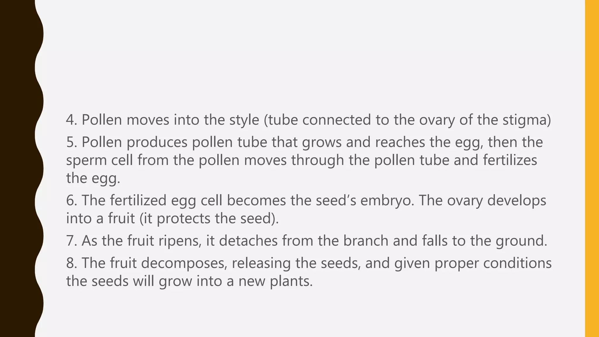 Sexual reproduction of plants | PPTX
