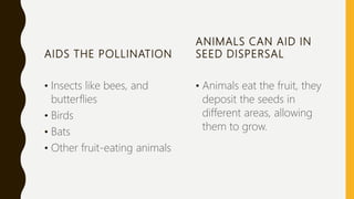 Sexual reproduction of plants | PPTX