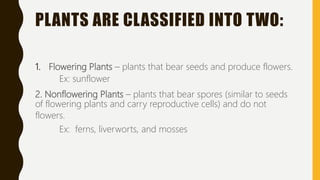 Sexual reproduction of plants | PPTX