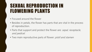 Sexual reproduction of plants | PPTX