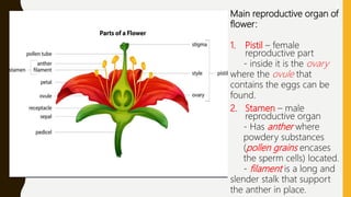 Sexual reproduction of plants | PPTX