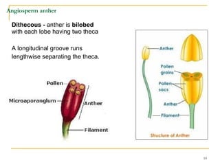 Sexual reproduction in plants part 1 | PPT