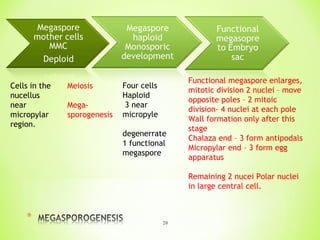 Sexual reproduction in plants part 1 | PPT