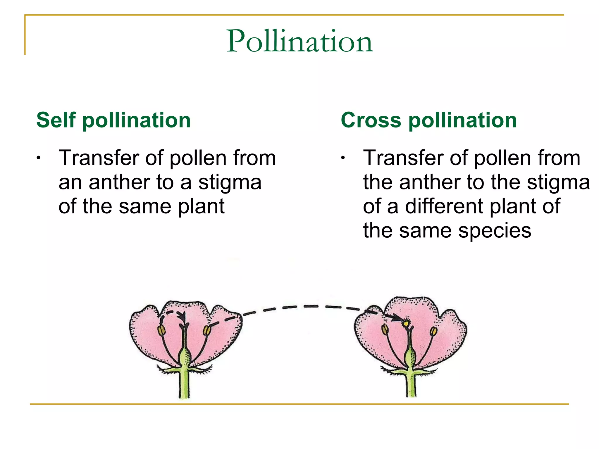 Sexual reproduction in plants | PPT