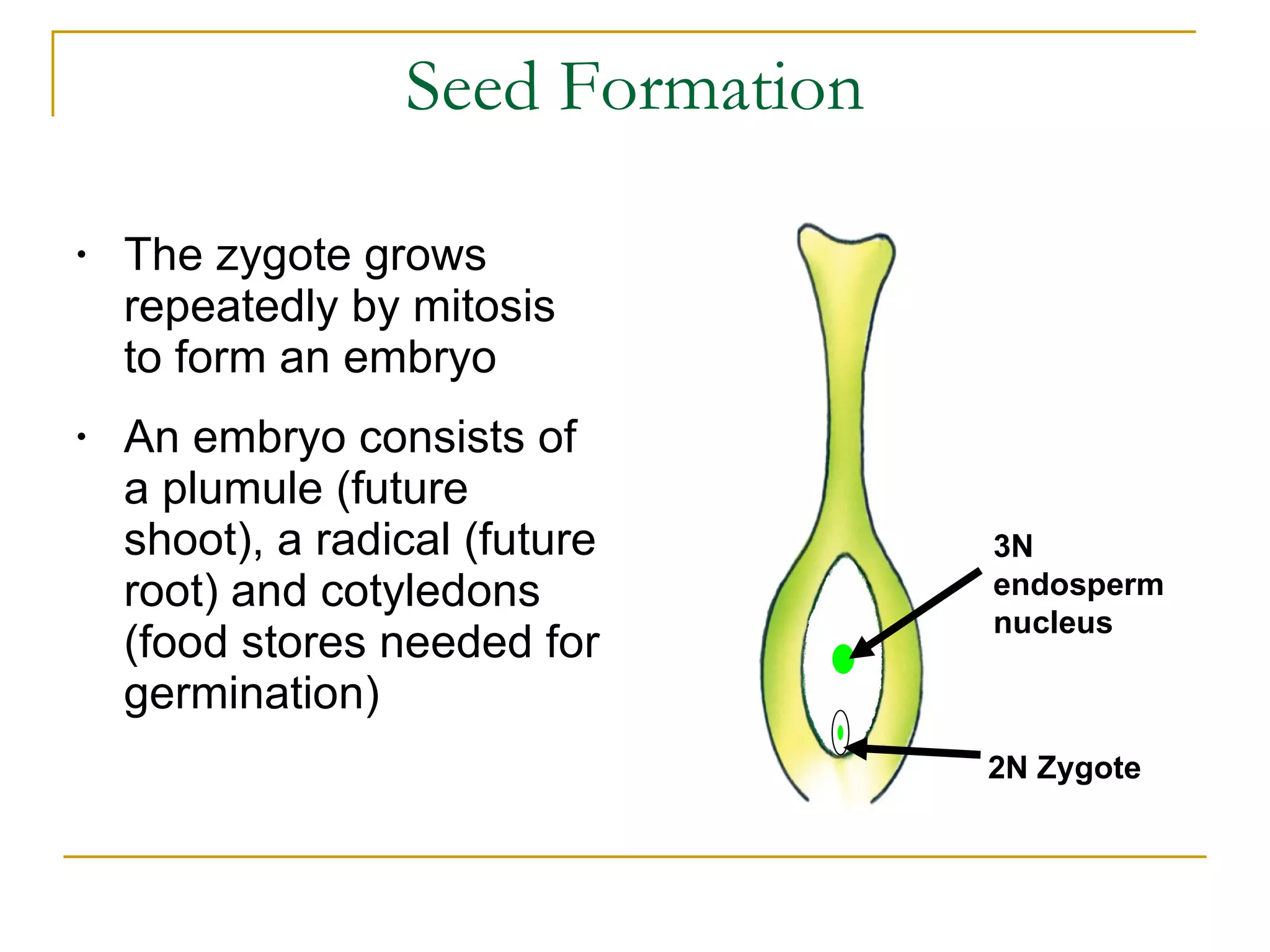 Sexual reproduction in plants | PPT
