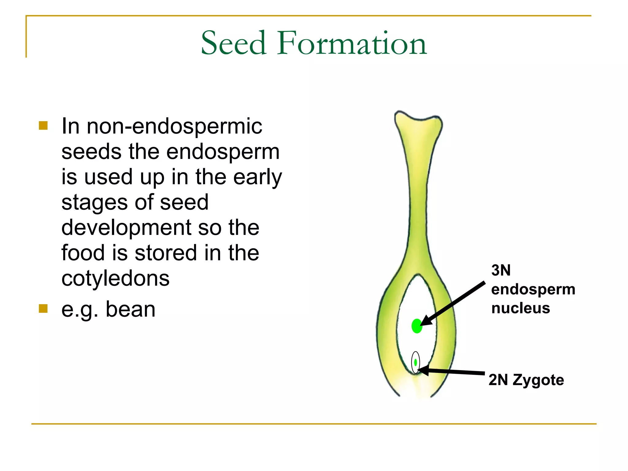 Sexual reproduction in plants | PPT