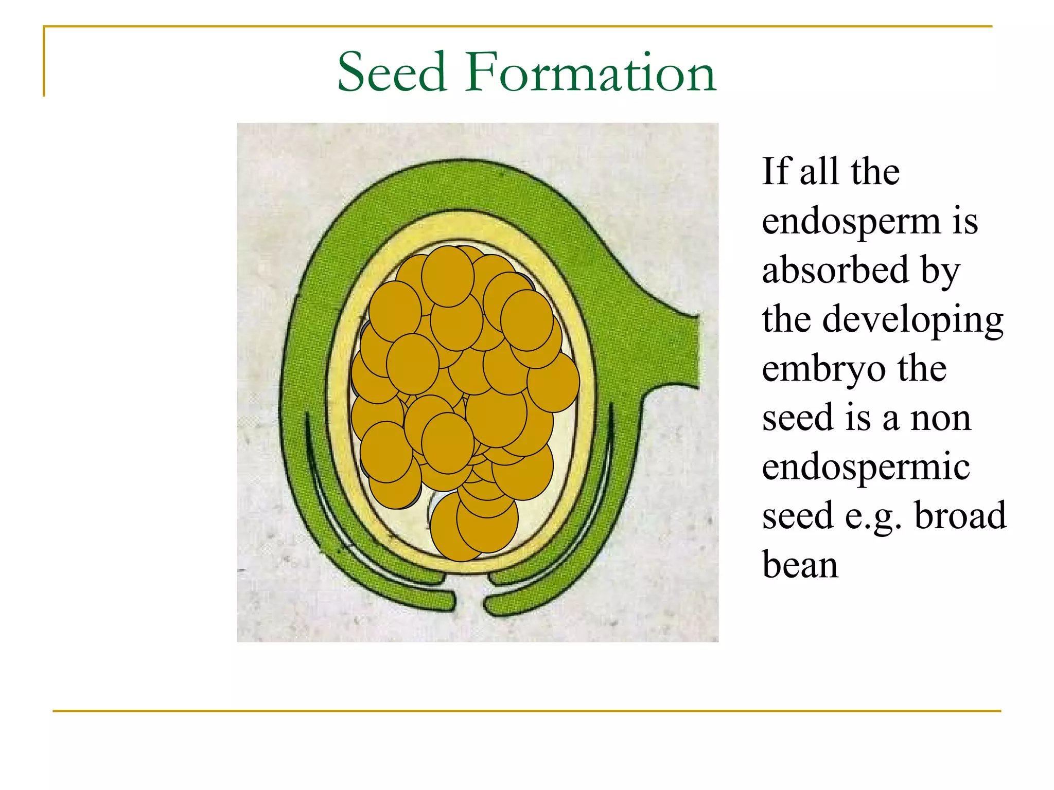 Sexual reproduction in plants | PPT