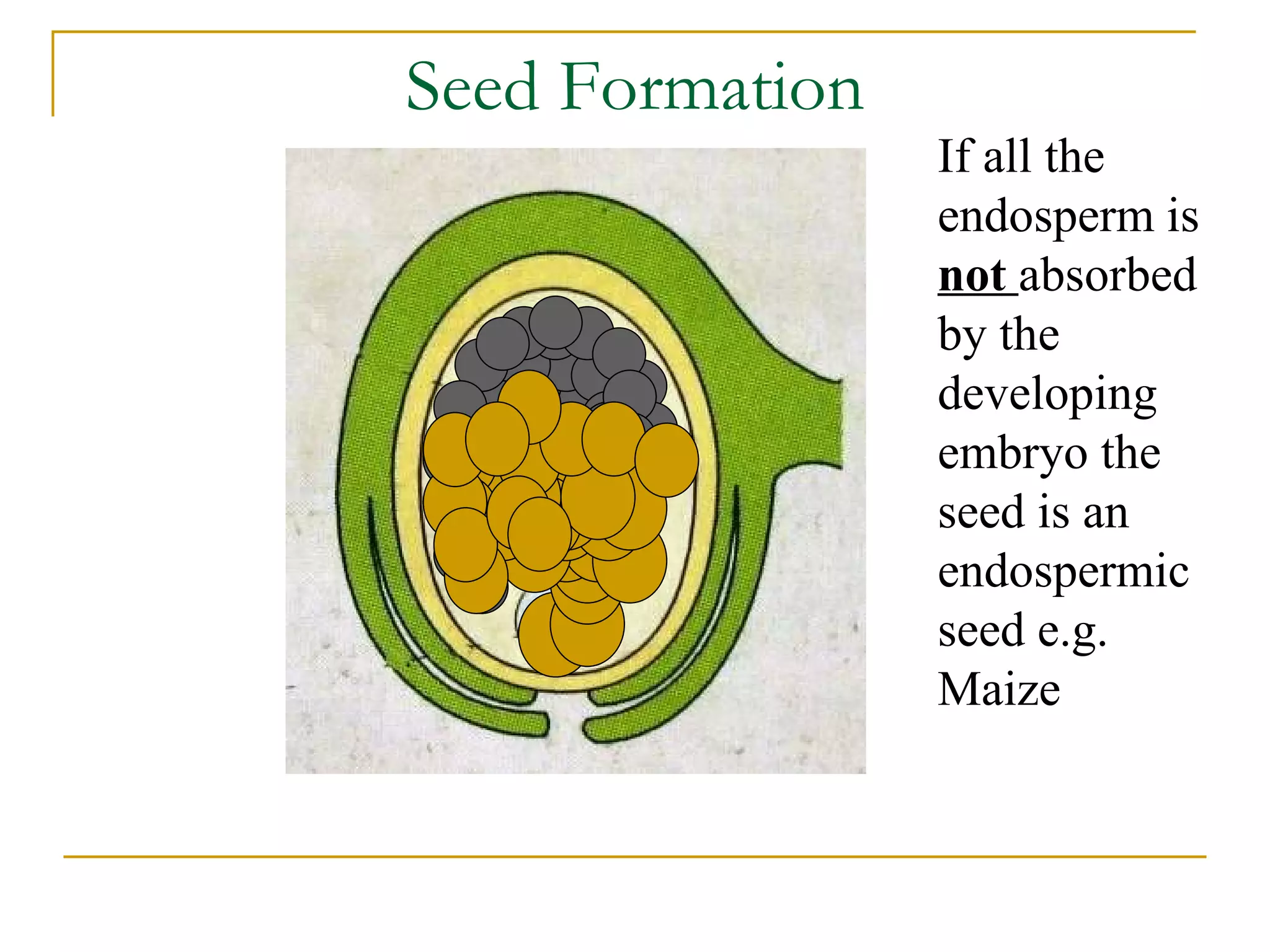 Sexual reproduction in plants | PPT