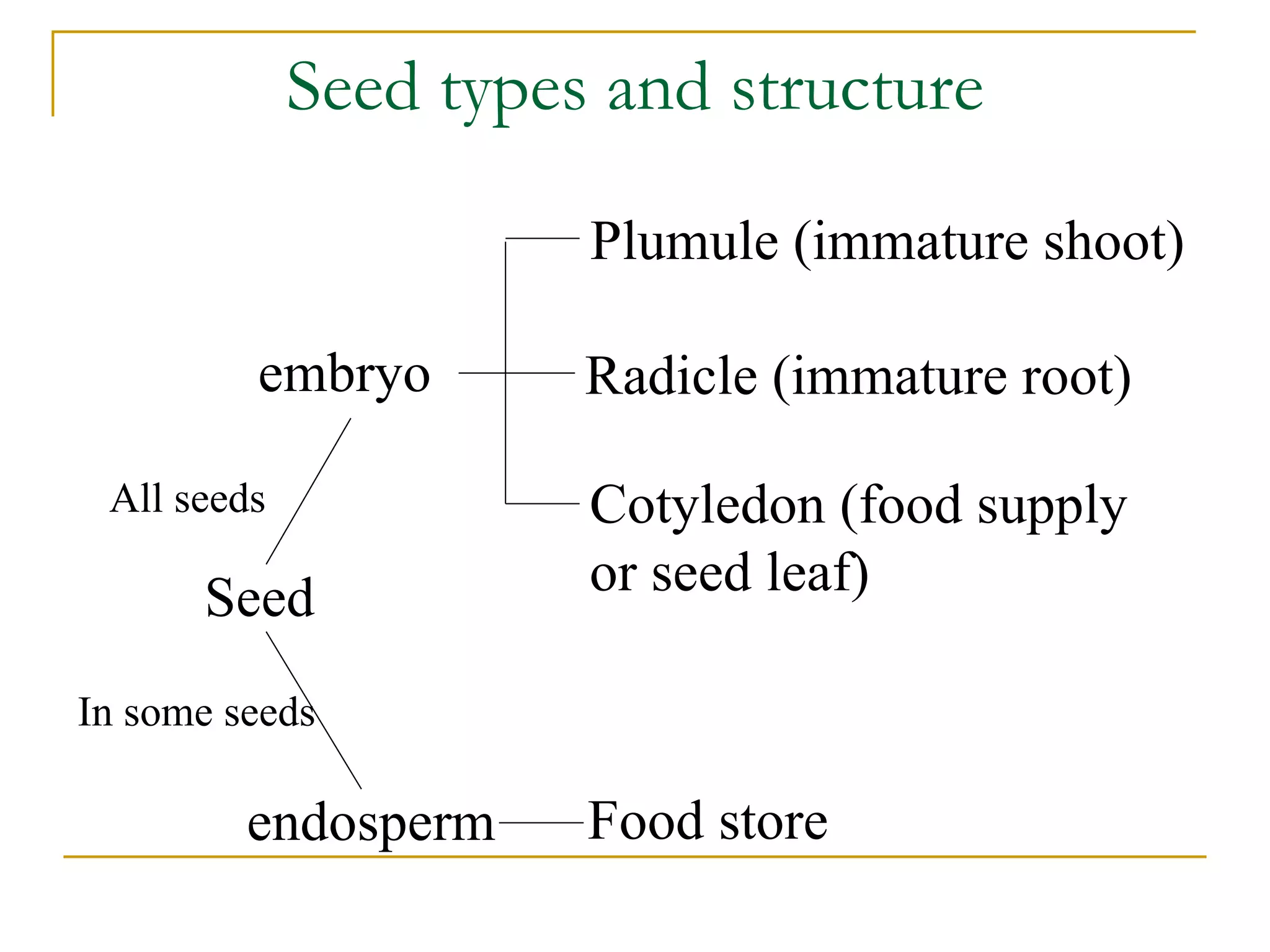 Sexual reproduction in plants | PPT