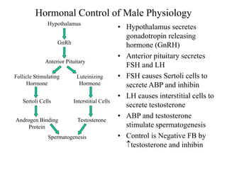 Sexual reproductive system | PPT