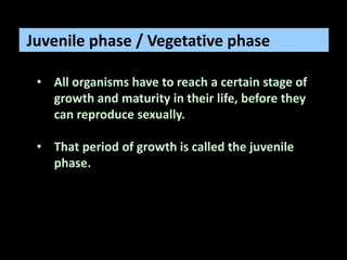 Sexual reproduction by trd | PPTX