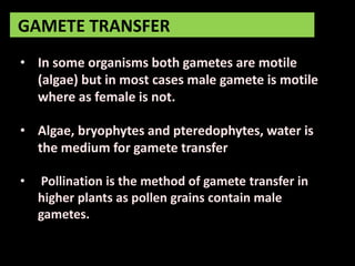 Sexual reproduction by trd | PPTX