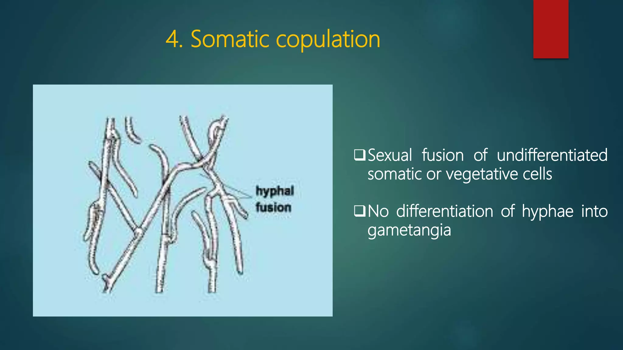 Sexual reproduction in Fungi | PPTX
