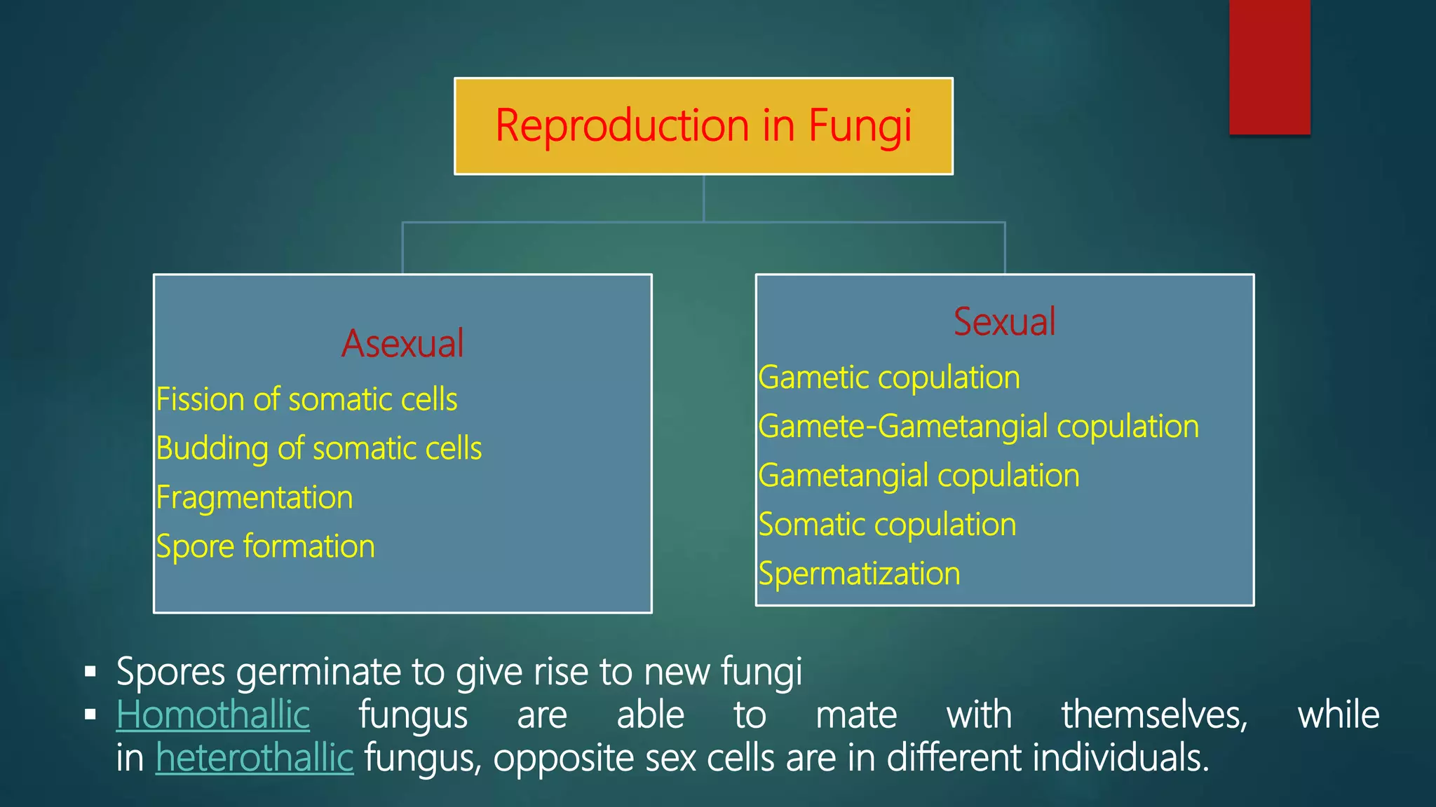 Sexual reproduction in Fungi | PPTX