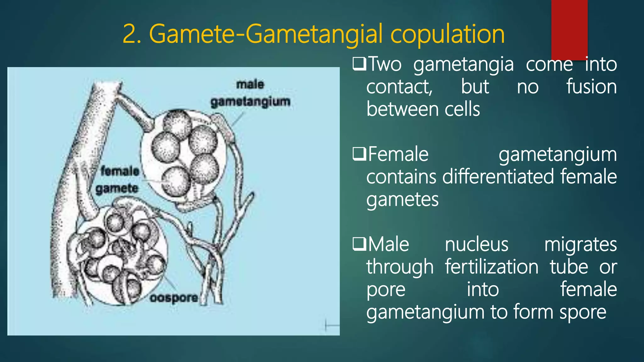 Sexual reproduction in Fungi | PPTX