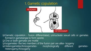 Sexual reproduction in Fungi | PPTX